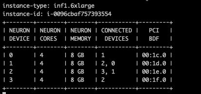 Segmentation Fault Core Dump While Running Inference Issue Aws Neuron Aws Neuron Sdk