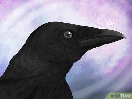 Native American Crow Meaning