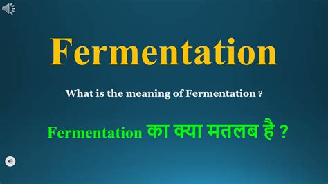 Definition Of Fermentation