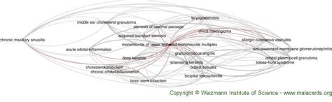 Mononeuritis Of Upper Limb And Mononeuritis Multiplex Disease Malacards Research Articles