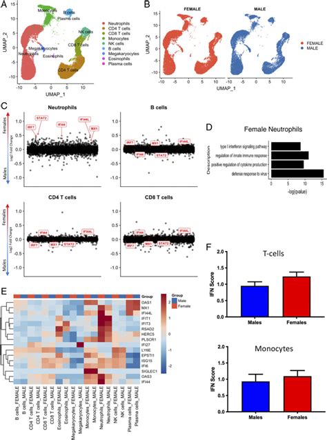 Sex Differences In Neutrophil Biology Modulate Response To Type I