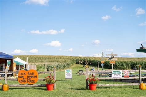 Duncans Corn Maze Grow Together