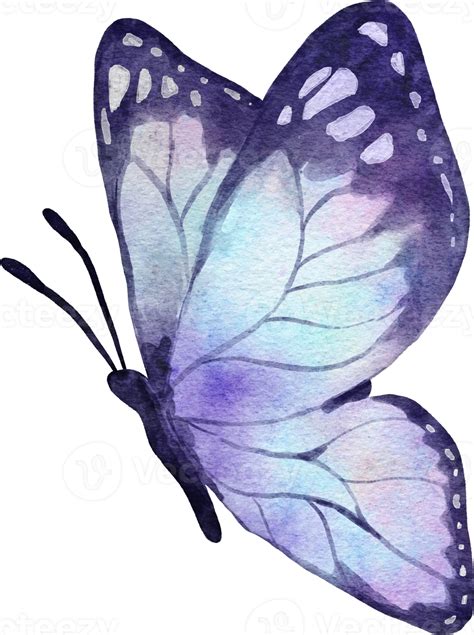 Mariposa Acuarela Ilustración Mariposas Acuarela Cómo Dibujar Cosas