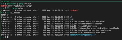 Move Dotnet Dir Away From Home · Dotnet Runtime · Discussion 74465