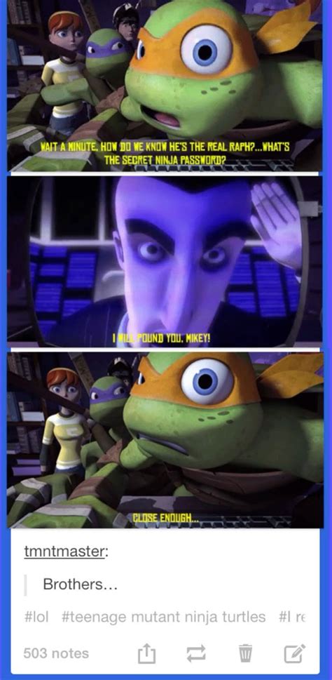 I Desperately Want To Be A Mii On A Beach Ninja Turtles Funny Tmnt