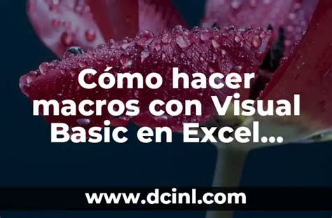 Cómo Hacer Macros Con Visual Basic En Excel 2010 5 Ejemplos