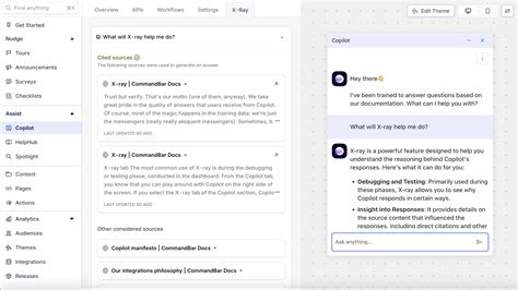 X Ray Command Ai Docs