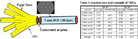 Schematic Diagram Of Tapered Multicore Fiber Connectors Download Scientific Diagram