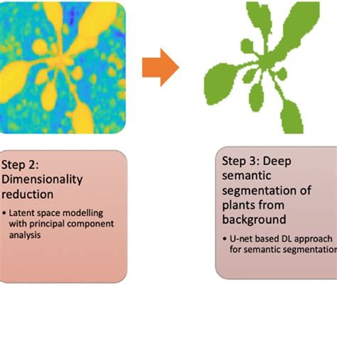A Summary Of The Different Steps Involved In The Proposed Generic