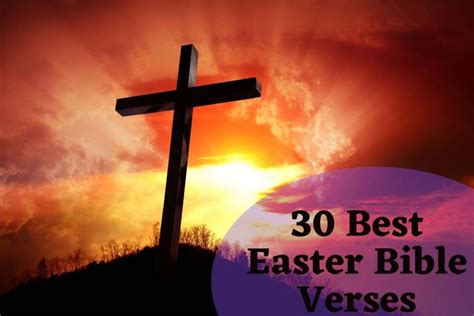 Tuesday Bible Verses 55 Best Scriptures Bible Verses Of The Day