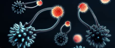 Who Are The Leading Innovators In Cytotoxic T Cell Based Cancer Immunotherapy For The