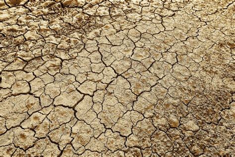 Premium Photo Texture Desert Drought Background Abstract Earth