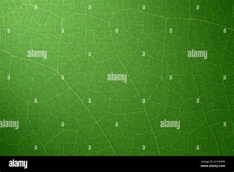 Green Abstract Linen Background With Leaf Pattern Texture Stock Photo Alamy