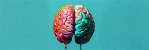 Colorful Representation Of A Human Brain Divided Into Two Hemispheres