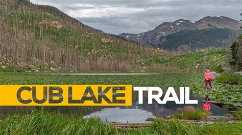Cub Lake Trail Hike In Rocky Mountain National Park Colorado Usa 4k