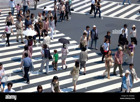 Busy Crosswalk
