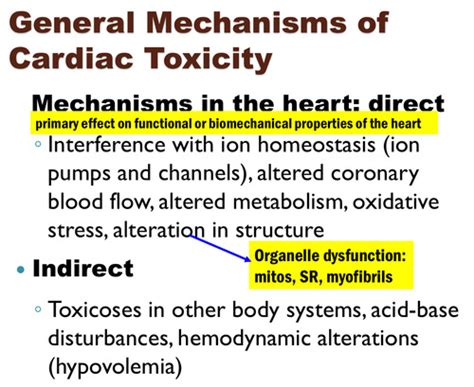 Toxicology Cardiovascular Toxicology Exam 3 Flashcards Quizlet