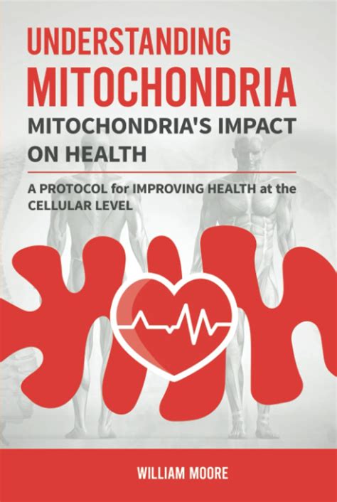 Understanding Mitochondria Mitochondrias Impact On Health A Protocol