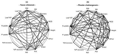Responses Of Taxus Chinensis And Phoebe Chekiangensis Seedlings To
