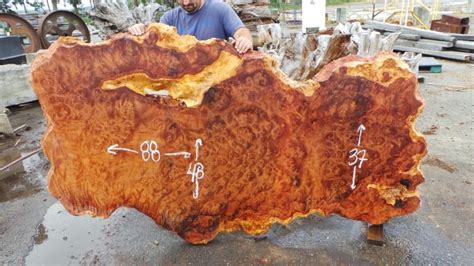 Que Es Burl Wood