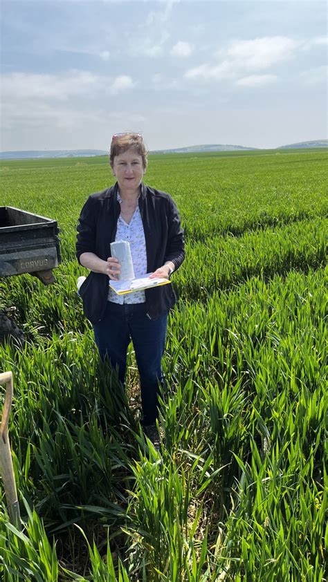 Soil Core Sampling The Farming Forum