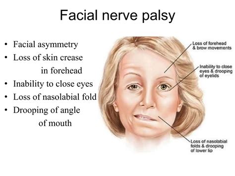 Craniofacial Muscles Bsc Nursingpptx