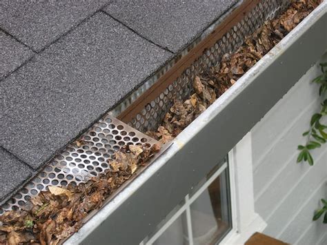 5 Common Gutter Issues And How To Tackle Them