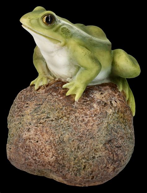 Gartenfigur Frosch Auf Stein Hotant Hier Im Shop