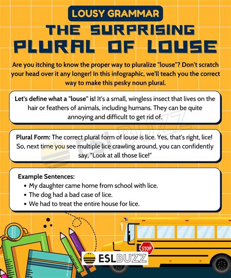Whats The Plural Of Louse The Answer May Surprise You Eslbuzz