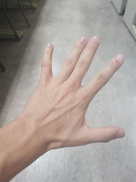 Github Janzuiderveldmlassignment 3 Final Assignment For Comp3314