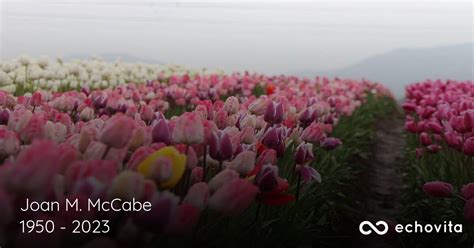 Joan M Mccabe Obituary 1950 2023 Philadelphia Pennsylvania