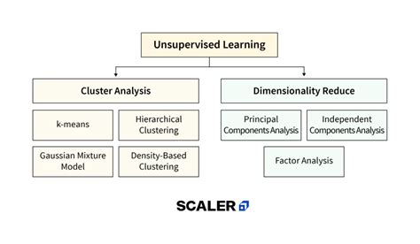 15 Top Data Science Algorithms To Use In 2024