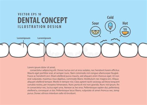 Layout Sensitive Teeth Illustration Vector On Blue Background D Stock