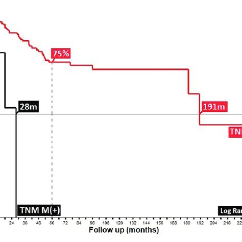 Distribution According To Tnm M State In Patients With Anal Cancer