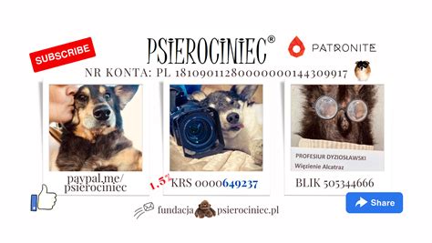 Zaginieni Przed Laty Nie Odnalezieni Historia Pewnego Zgłoszenia
