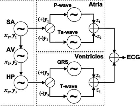 figure 1 from effect of coupling on the pacemaker synchronization in