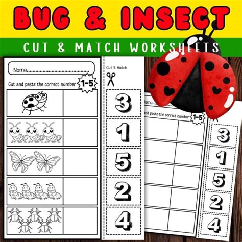 Insect And Bug Worksheets Count Numbers 1 5 Preschool And Kindergarten Math