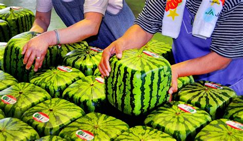 22 Seriously Weird Things That Only Exist In Japan