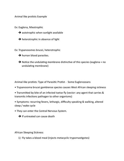 27 Animal Like Protists Example Animal Like Protists Example Ex