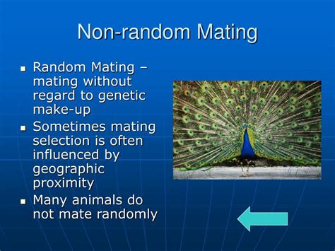 Types Of Mating And Explain At Louise Whipple Blog