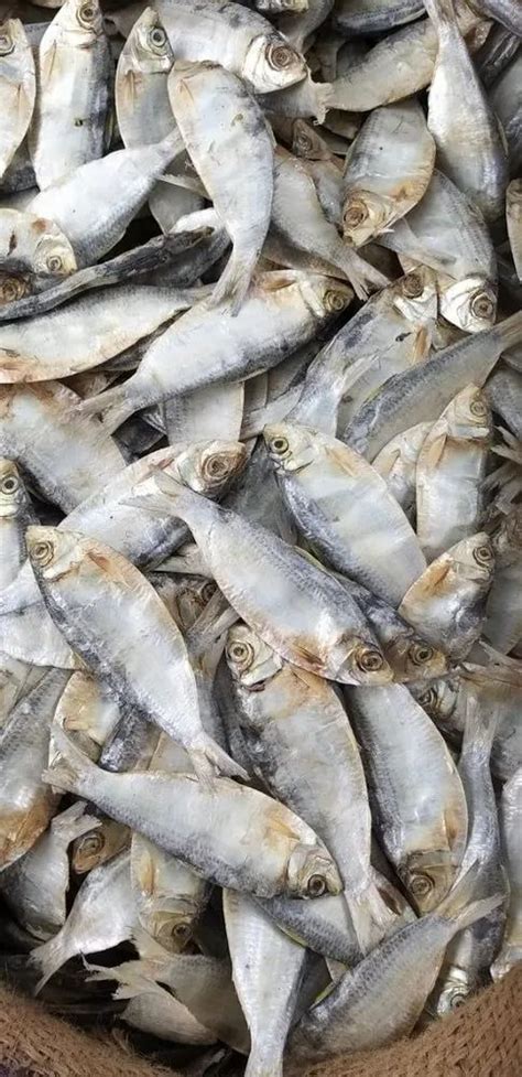 White Sooda Dry Fish Packaging Type Bundle For Household At Best