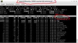 Einen Online Minetest Server Hosten MINETESTBILDUNG