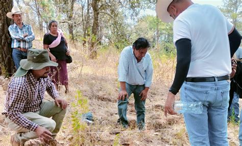 Propone Sader Acciones Para Recuperar El Lago De Pátzcuaro Noticias De Yucatán