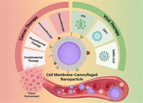Acs Applied Bio Materials Acs Publications