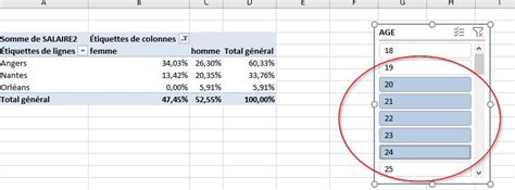 Comment Réaliser Des Tableaux Croisés Dynamiques Et Segmentations Sur Excel Masson François