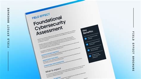 Foundational Cybersecurity Assessment Field Effect