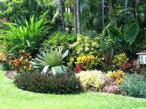 Front Yard Landscaping Ideas Tropical At Robert Connors Blog