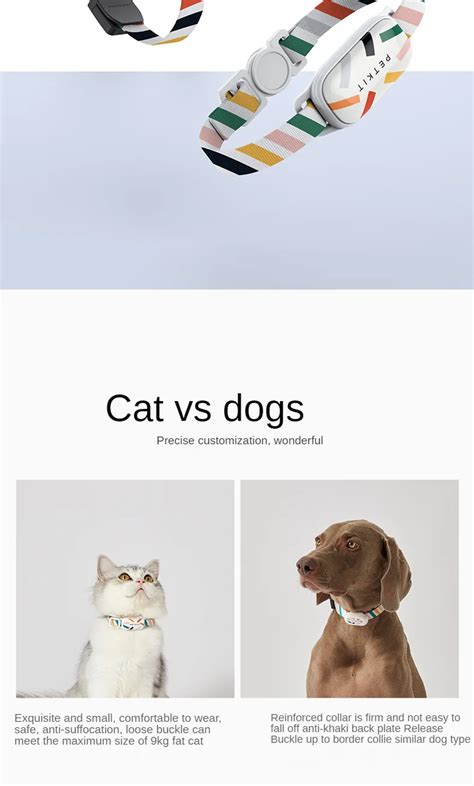 Chats Collier Intelligent Pour Chien Et Chat Avec Traceur Bt Personnalisé Réglable En