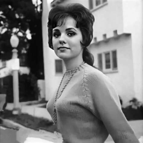 Wild Dawn Wells Best Known For Her Iconic Role As Mary Ann Summers