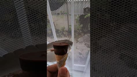 Es Krim Corneto Mini Youtube